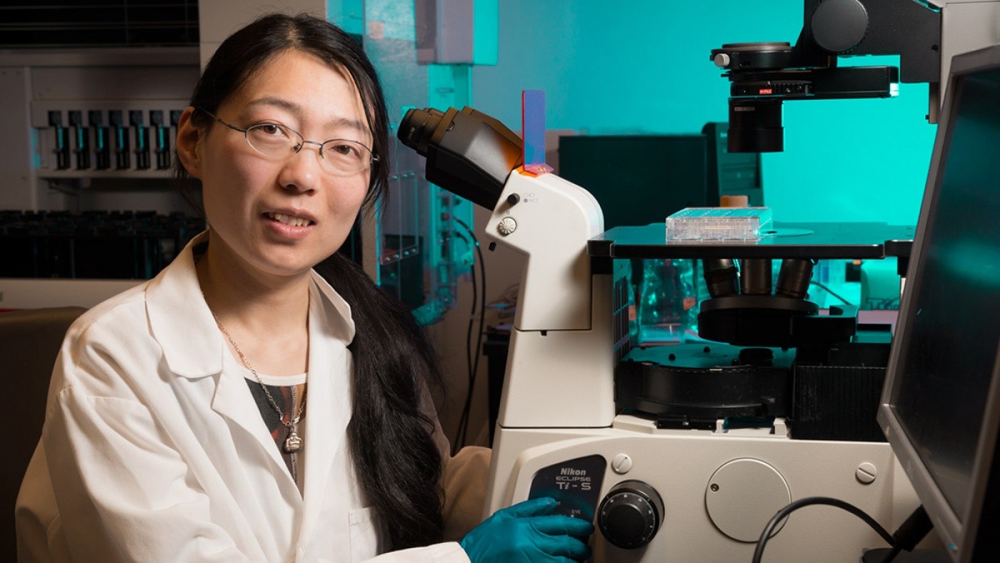 Building the Tools that Fight Type 1 Diabetes