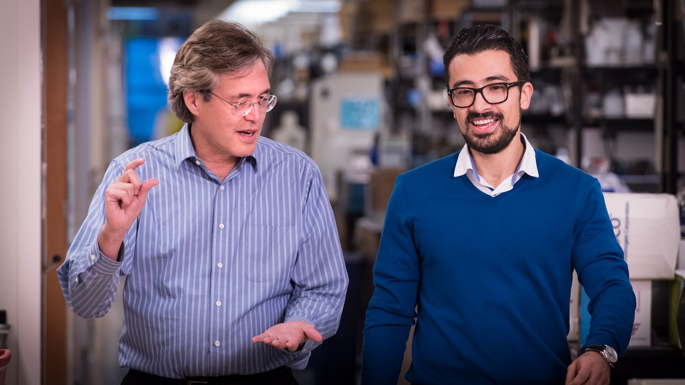 Modified Form of CRISPR Acts as a Toggle Switch to Control Gene ...